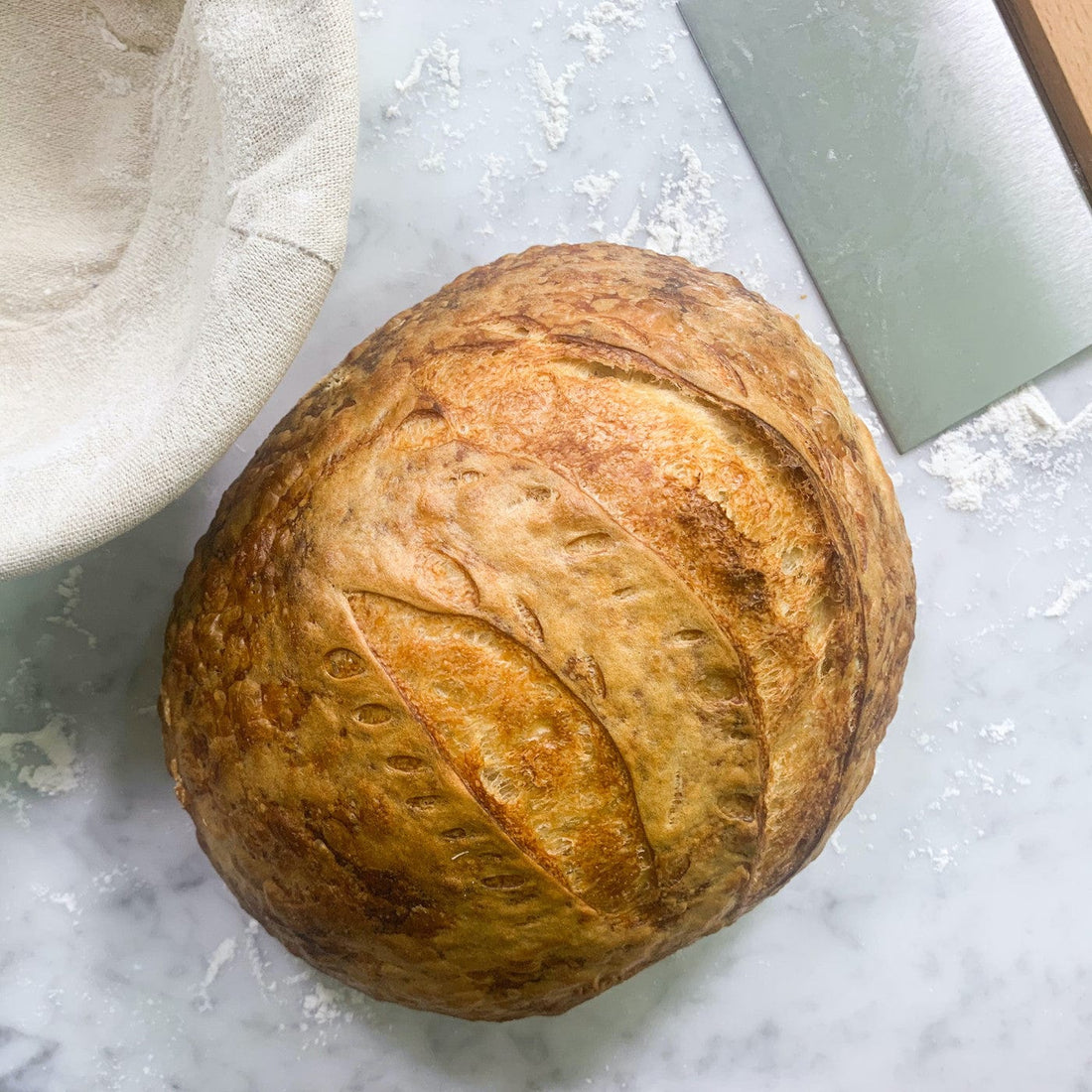 FarmSteady Sourdough Bread Winner Kit – Threadfellows